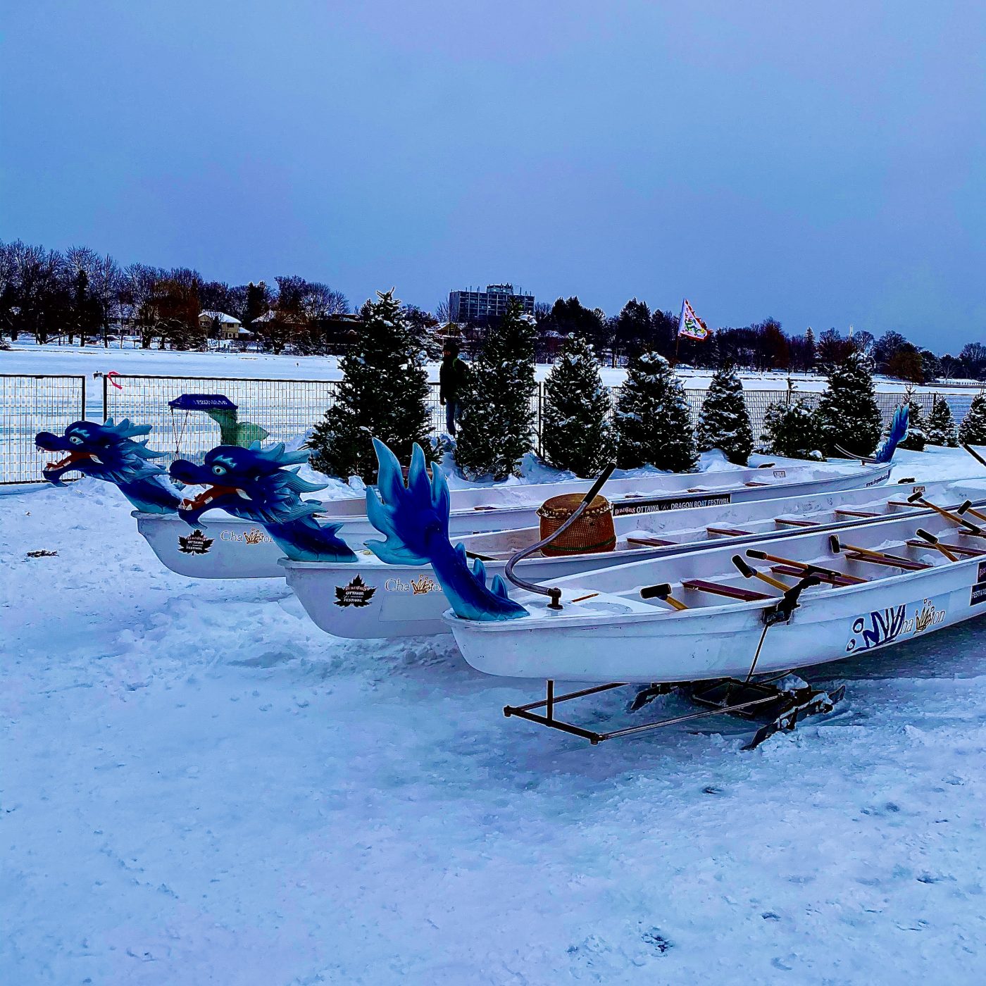 This is WildWorks, The 2020 Beavertails Ottawa Ice Dragon Boat...
